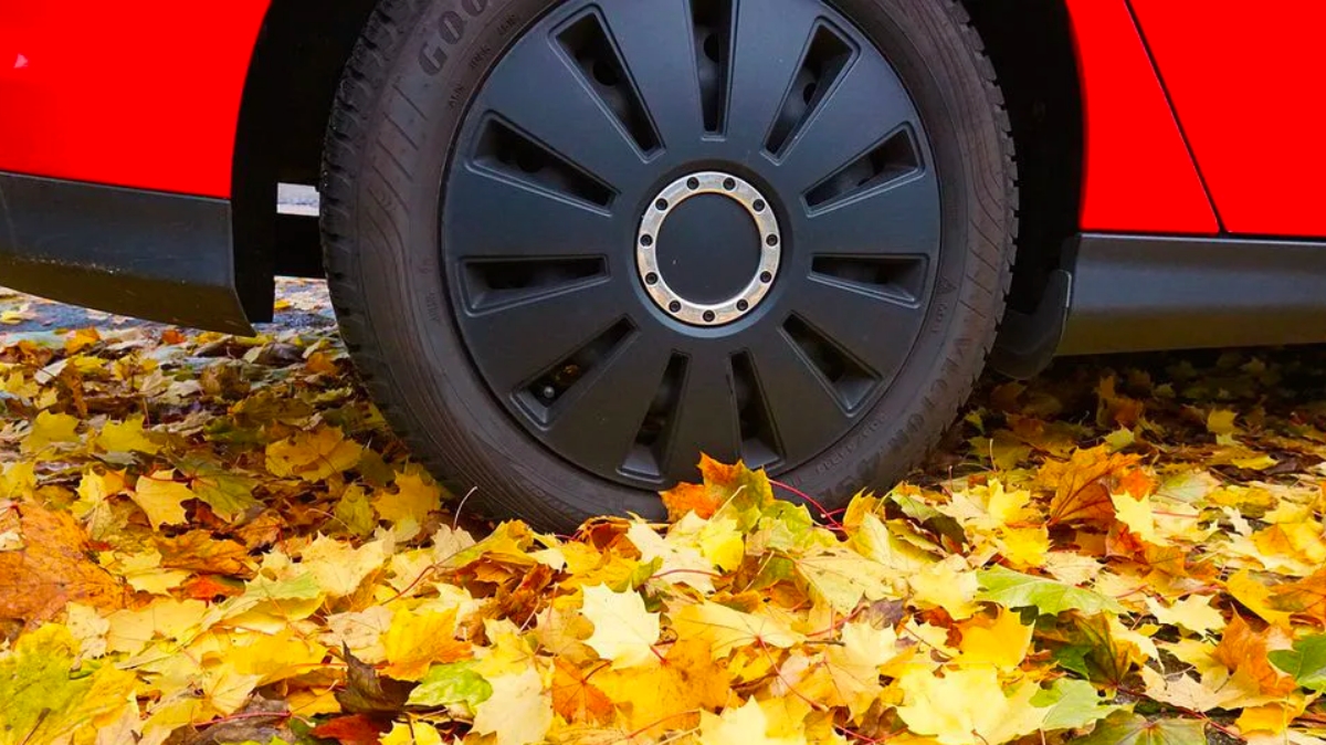 Co je zakázáno dělat na podzim s autem? Motory ojetin jsou v ohrožení